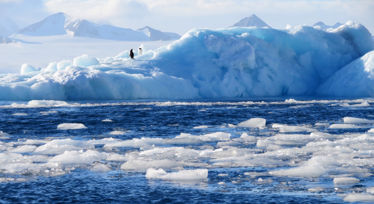 A Top Notch Trip to the Bottom of the World – Explorer Barb